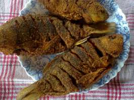 Jela sa ribom - Najbolji recepti